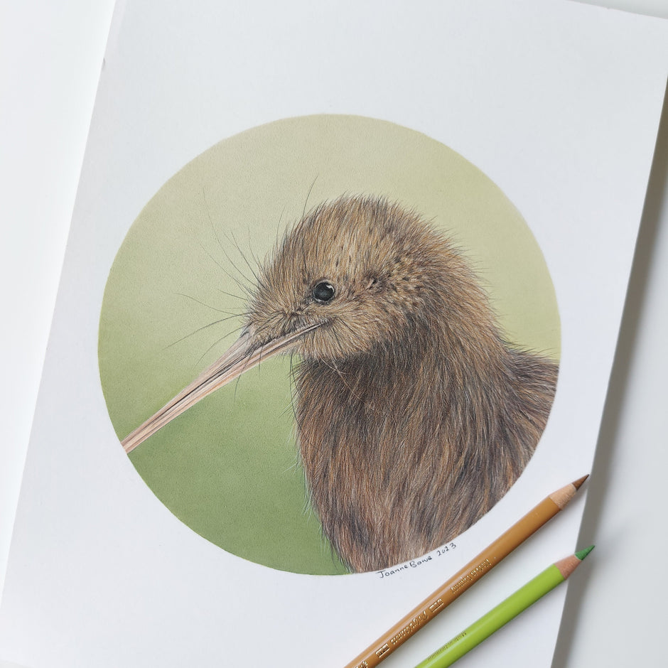 Original Artworks by Joanne Bowe NZ Artist – Joanne Bowe | New Zealand ...