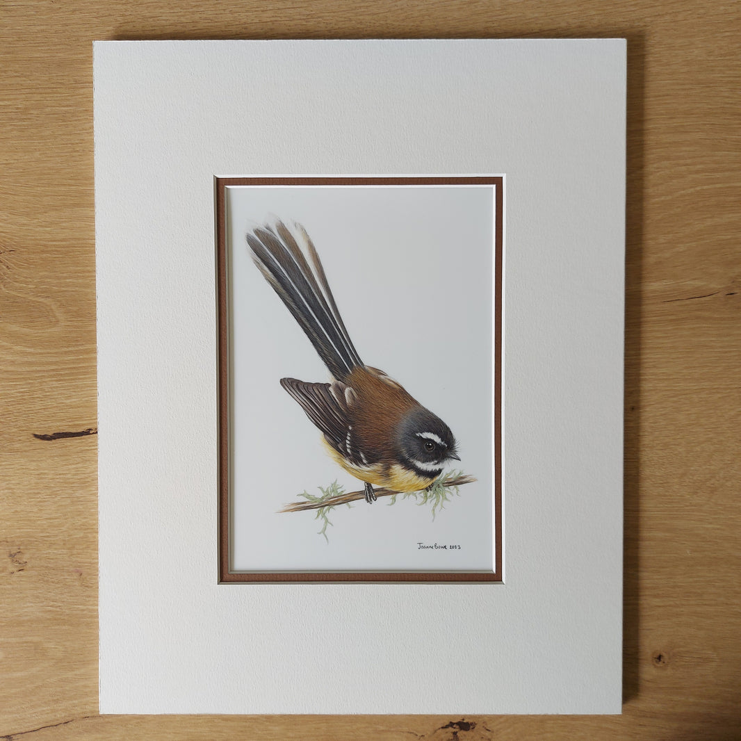 Original Artworks – Joanne Bowe NZ Art