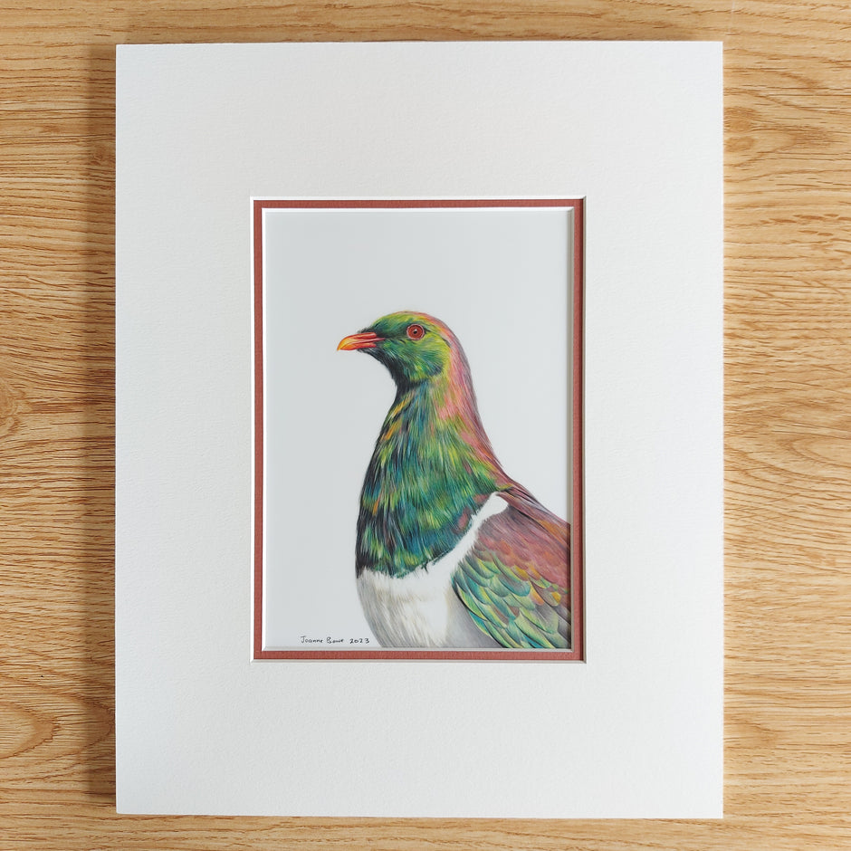 Original Artworks – Joanne Bowe NZ Art