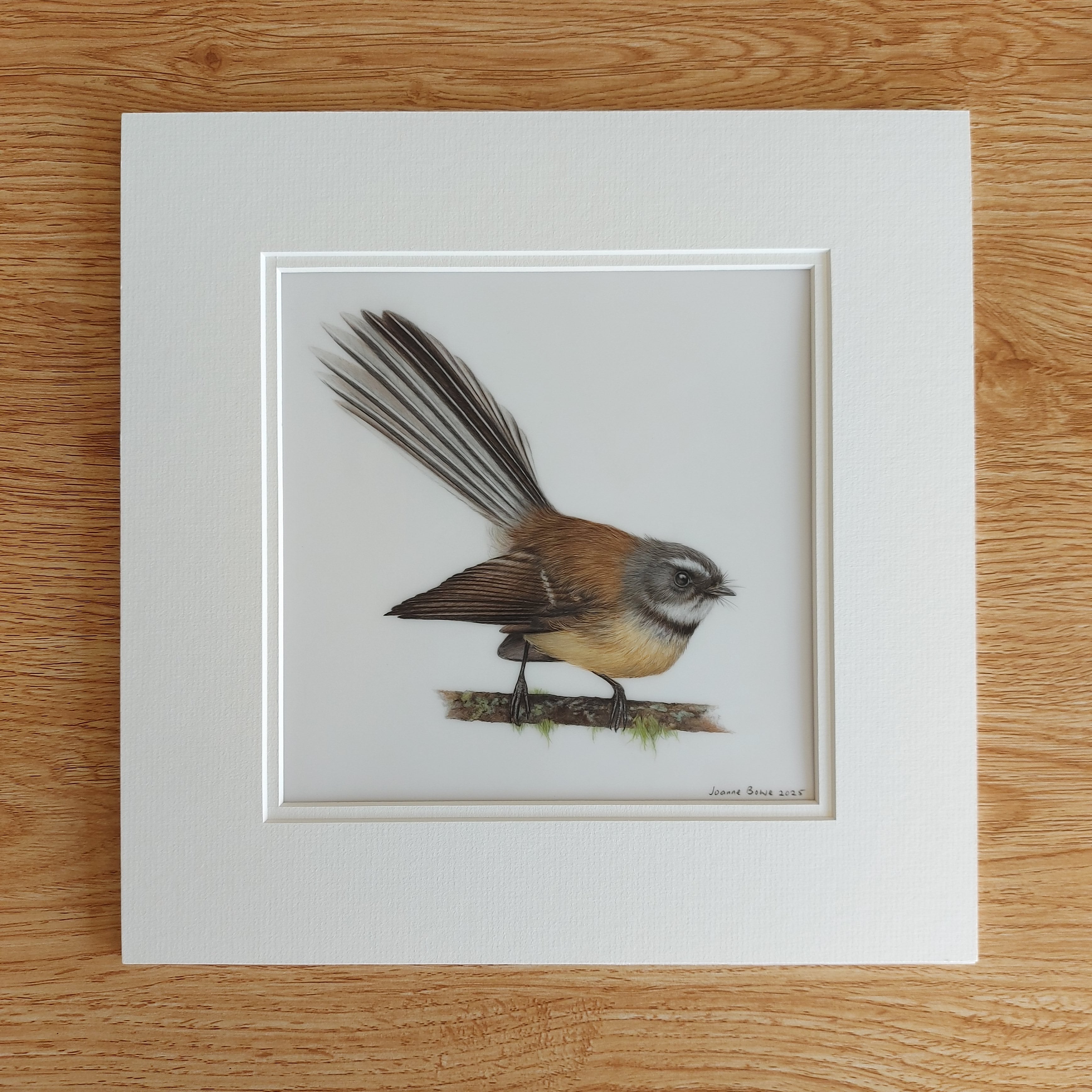 Fantail - Original Pencil Artwork – Joanne Bowe | New Zealand Artist